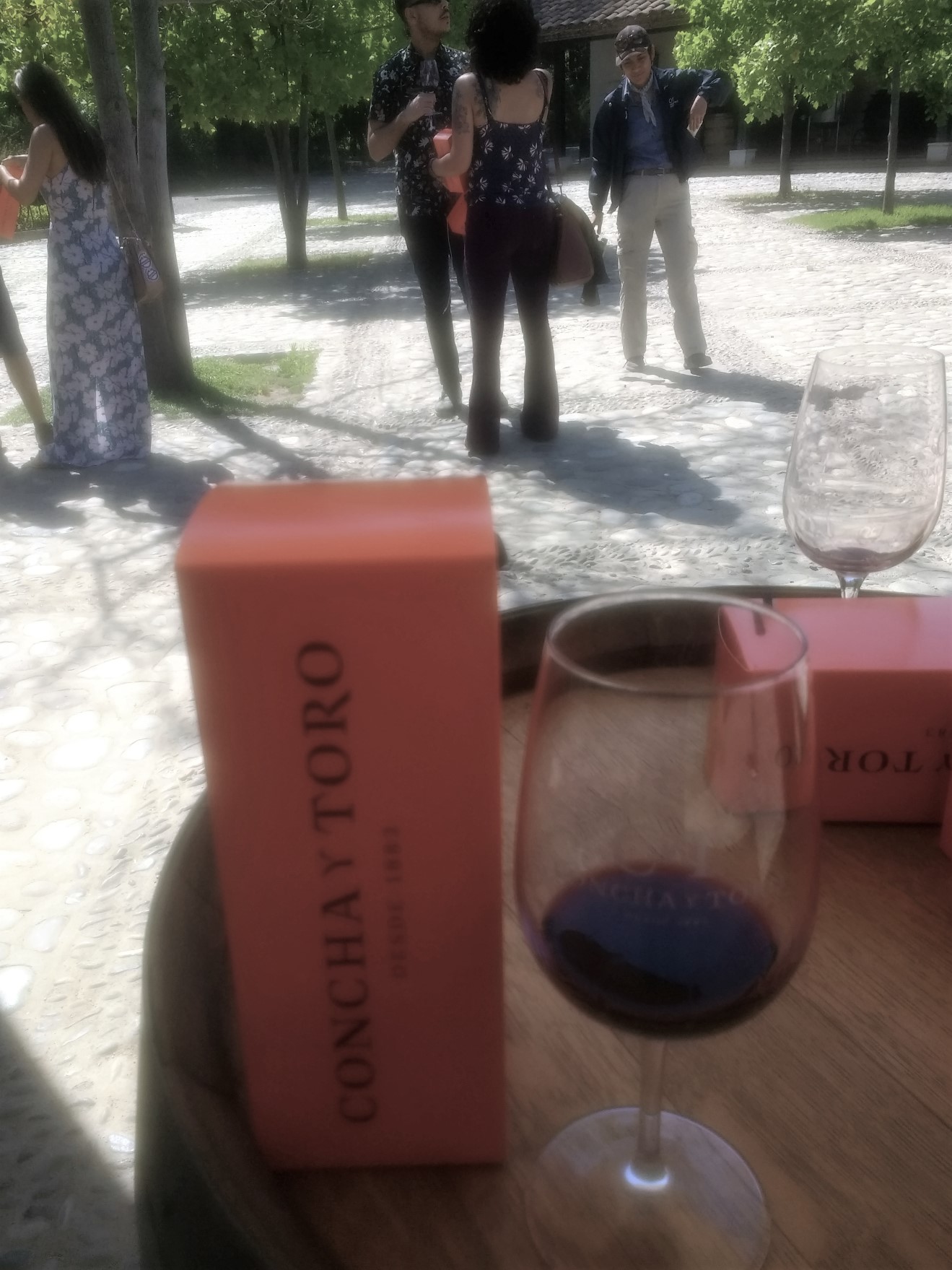 Chile – Vinícola Concha y Toro – Sorria Viajando